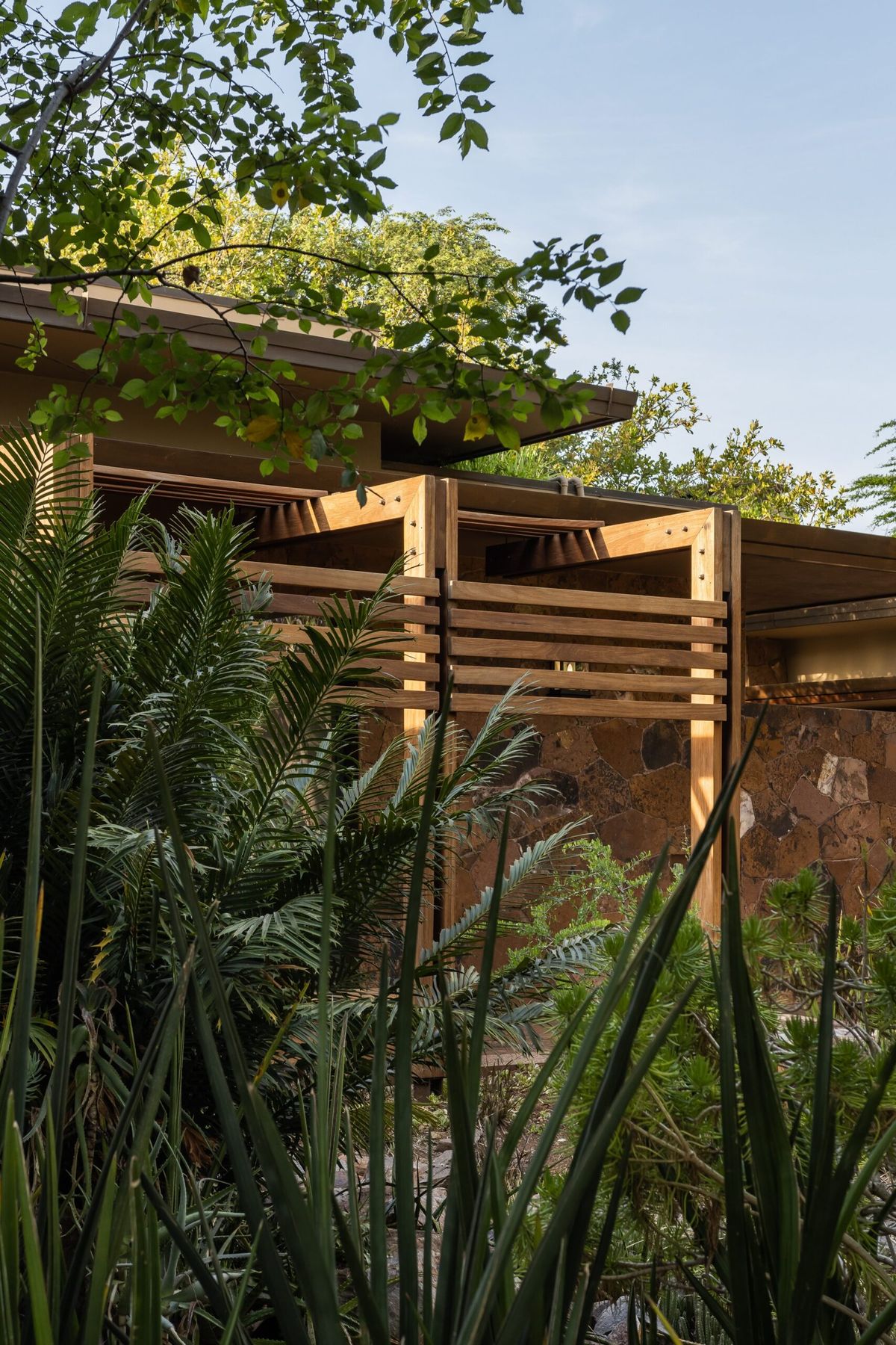 Kilima Luxury Lodge & Safari | Photo & Video Gallery | Singita