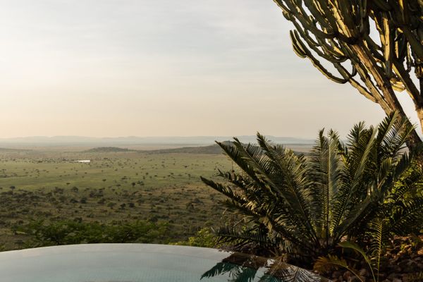 Kilima Luxury Lodge & Safari | Photo & Video Gallery | Singita